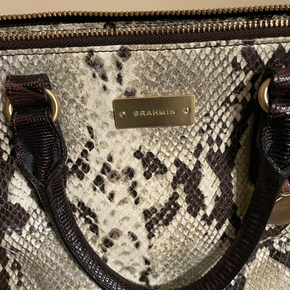 Brahmin Snake Skin Tote - Gem